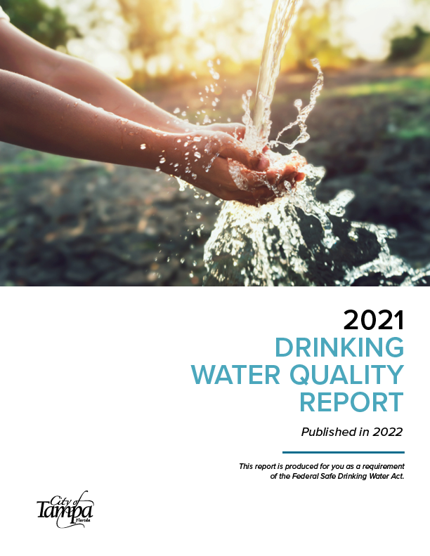 Current Water Quality Report | City of Tampa